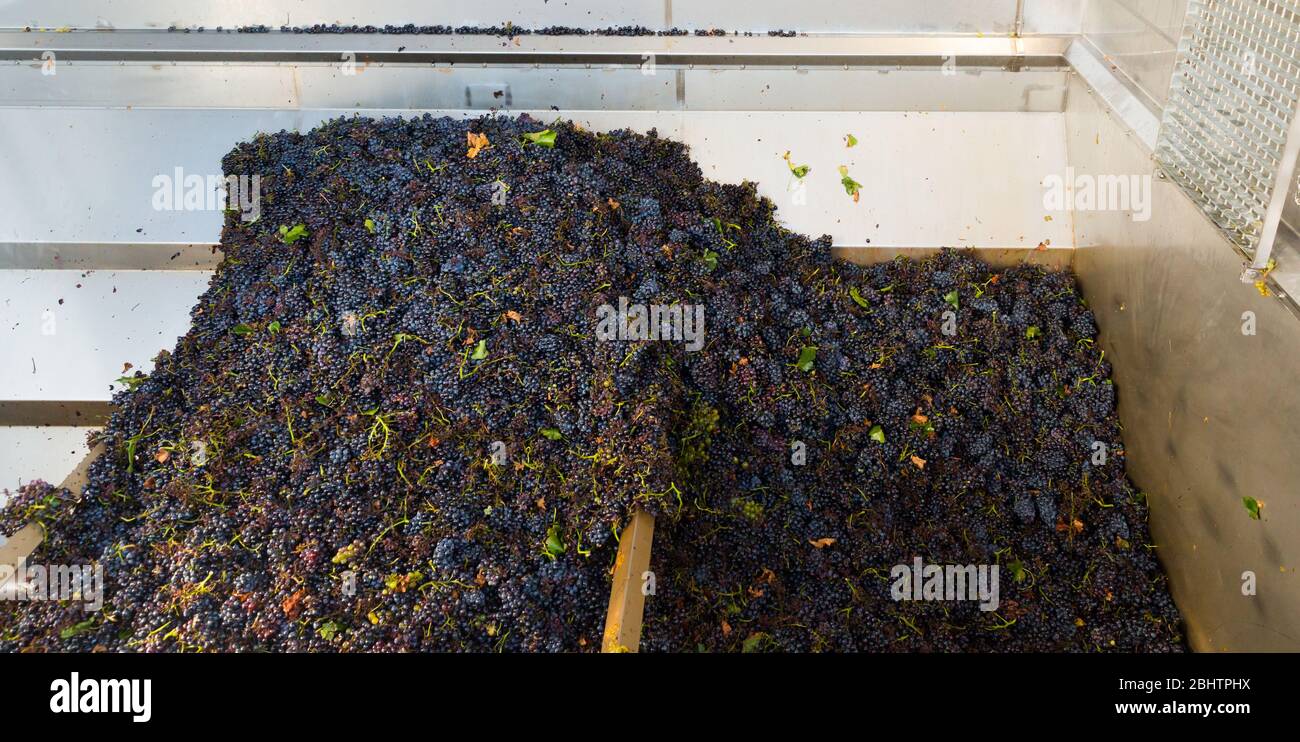 Mechanical grape press hi-res stock photography and images - Alamy