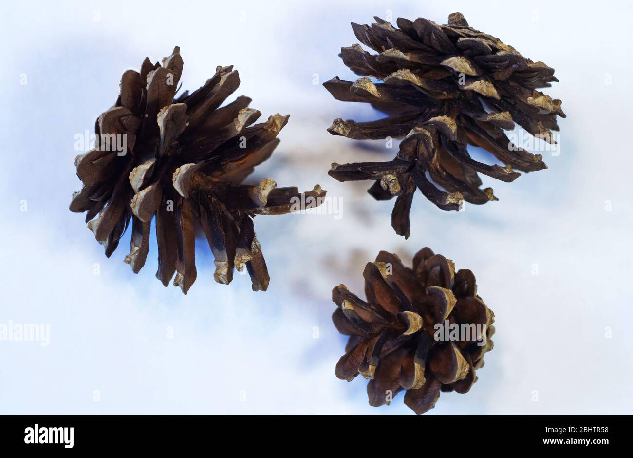 Photo Bumps High Resolution Stock Photography and Images - Alamy