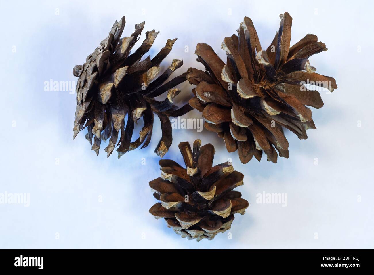 Photo Bumps High Resolution Stock Photography and Images - Alamy