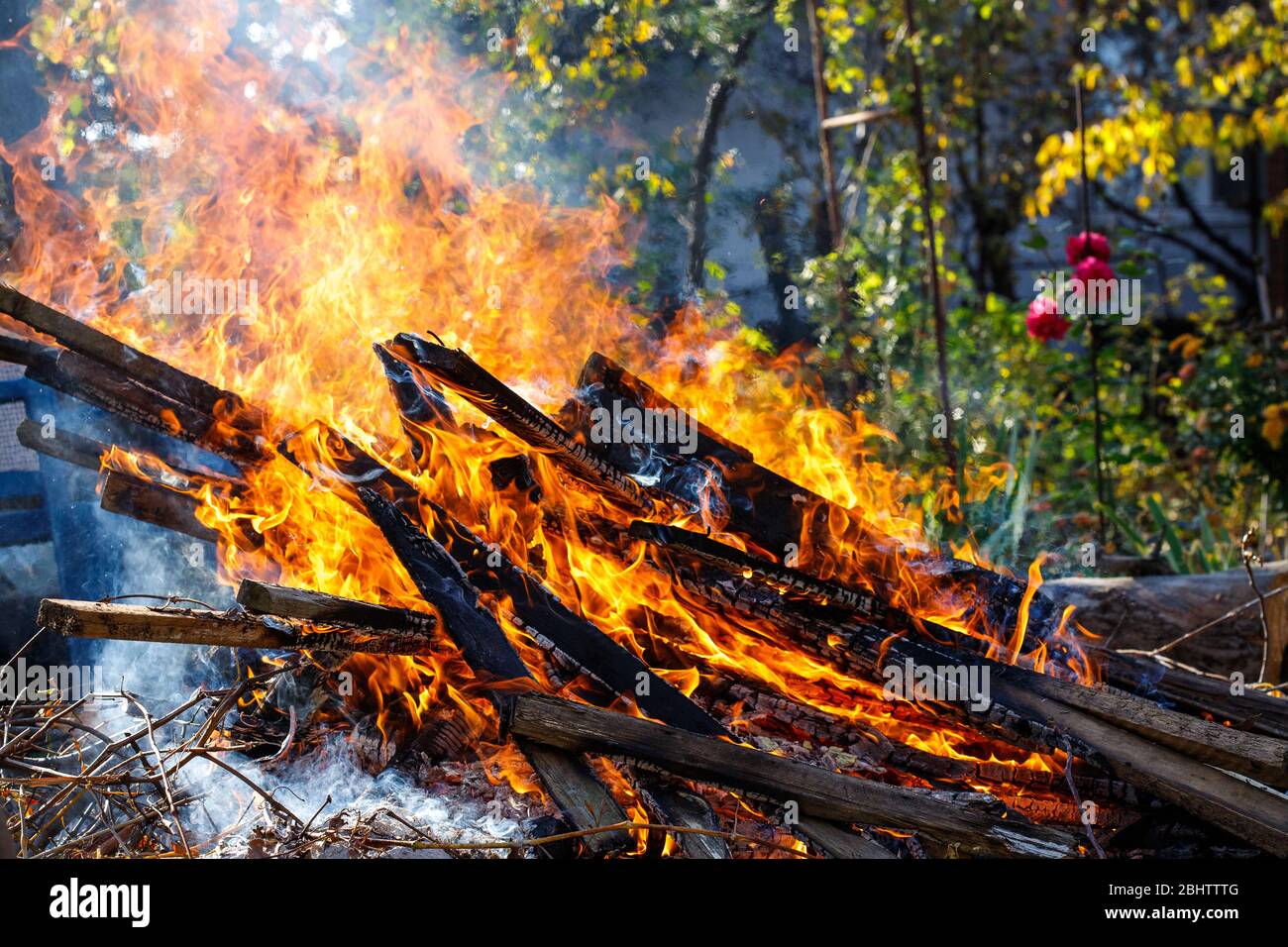 Big bonfire made of boards. Beautiful fire Stock Photo - Alamy