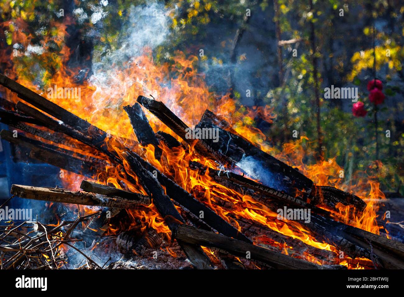 Big bonfire made of boards. Beautiful fire Stock Photo - Alamy