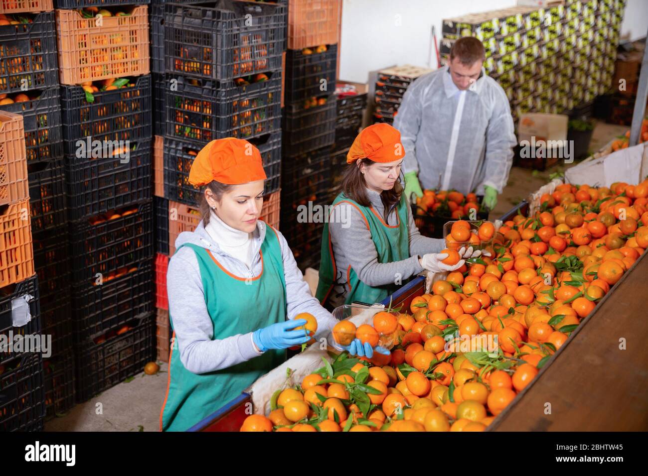 Group of positive male and glad cheerful smiling female warehouse ...