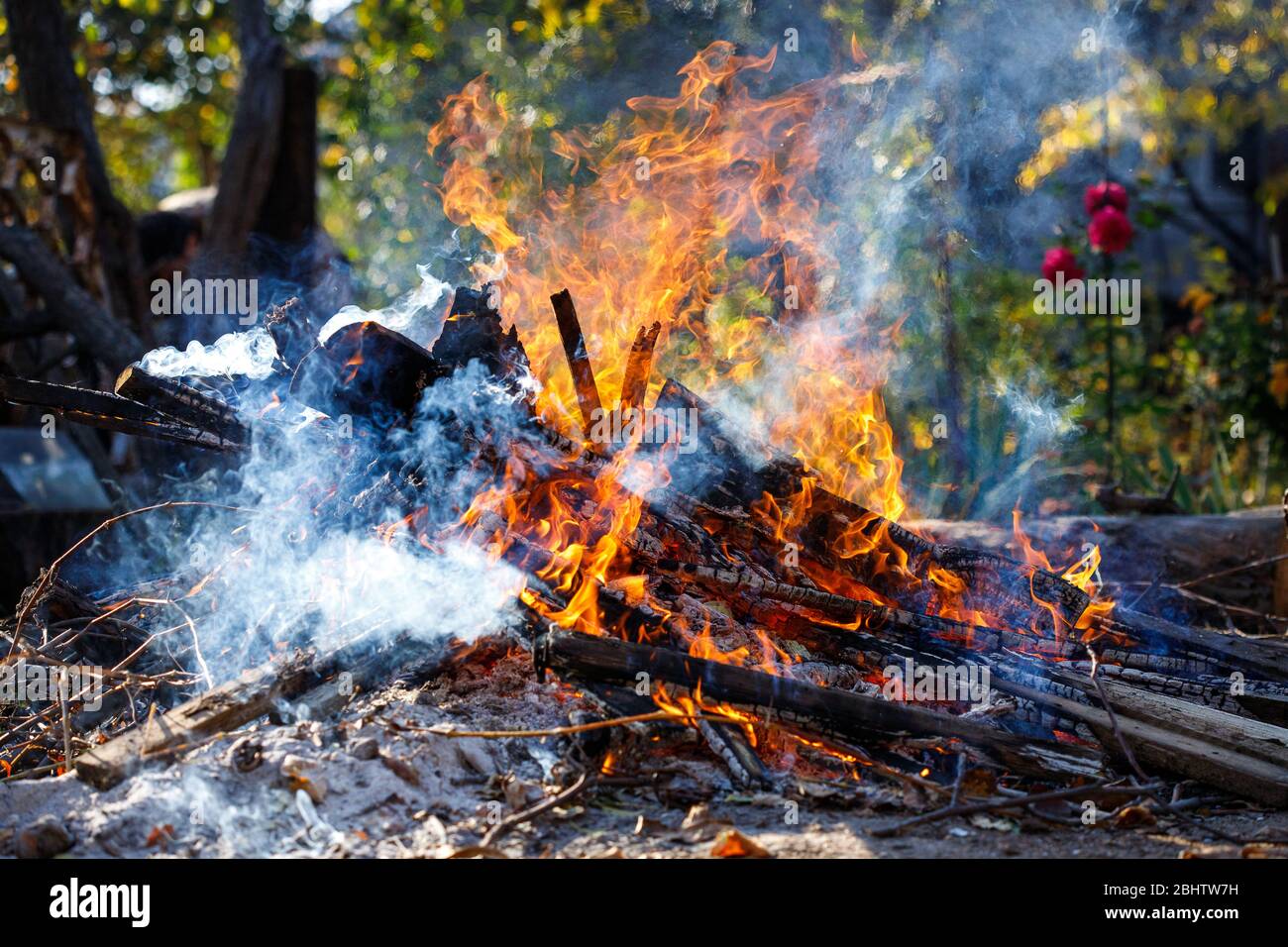 Big bonfire made of boards. Beautiful fire Stock Photo - Alamy