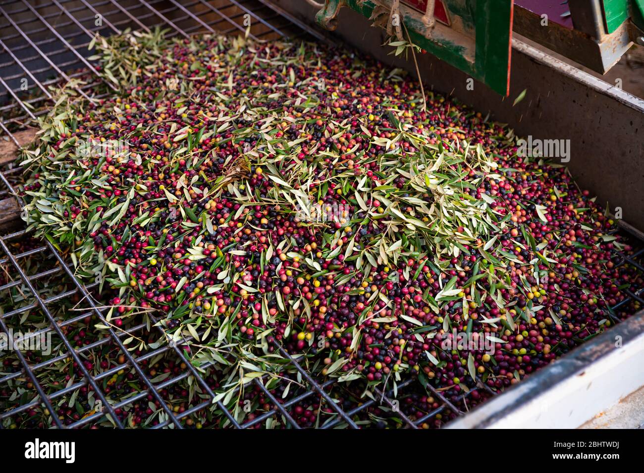 Truck unloading fruits hi-res stock photography and images - Alamy