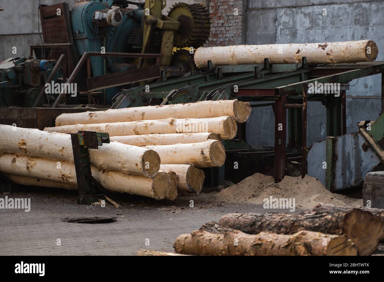 Bark removal from large logs on sawmill. Preparation of the wooden logs ...