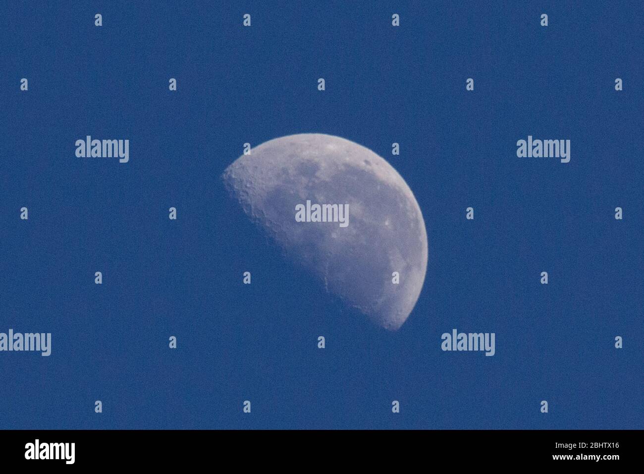 Close up of the half-moon at blue sky Stock Photo - Alamy