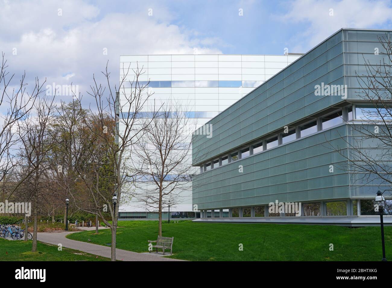 Brain housing hi-res stock photography and images - Alamy