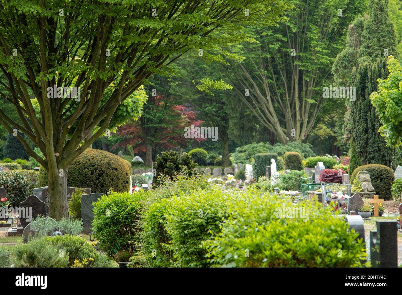 Flowers Grave Gravesite Cemetery High Resolution Stock Photography and ...