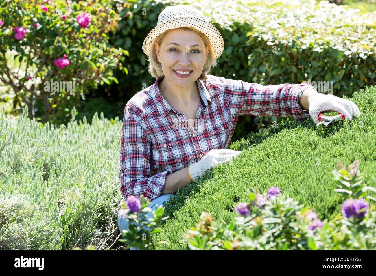 Senior woman cutting hedge hi-res stock photography and images - Alamy