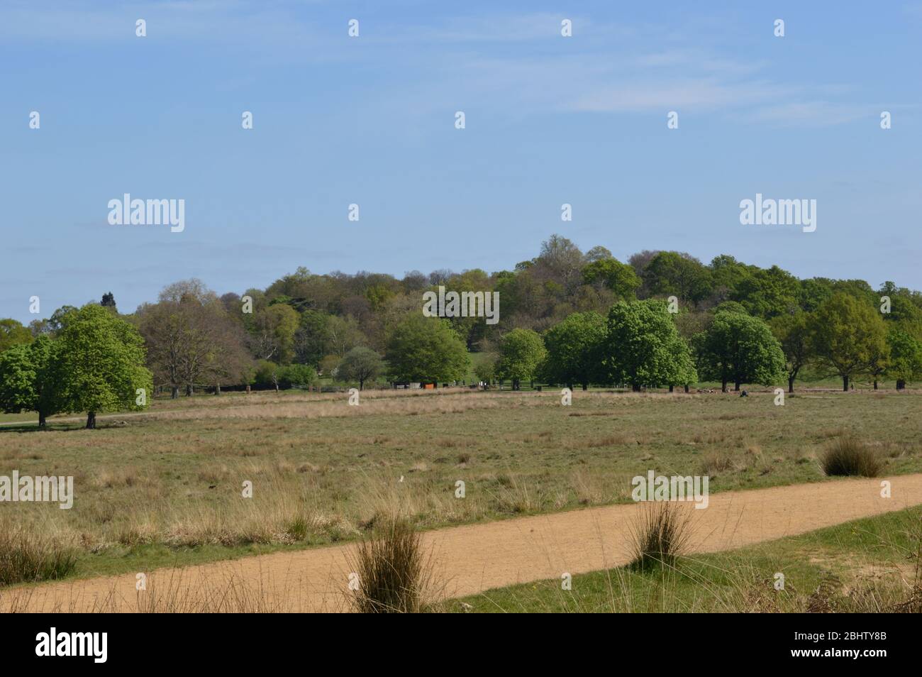 Richmond park spring hi-res stock photography and images - Alamy