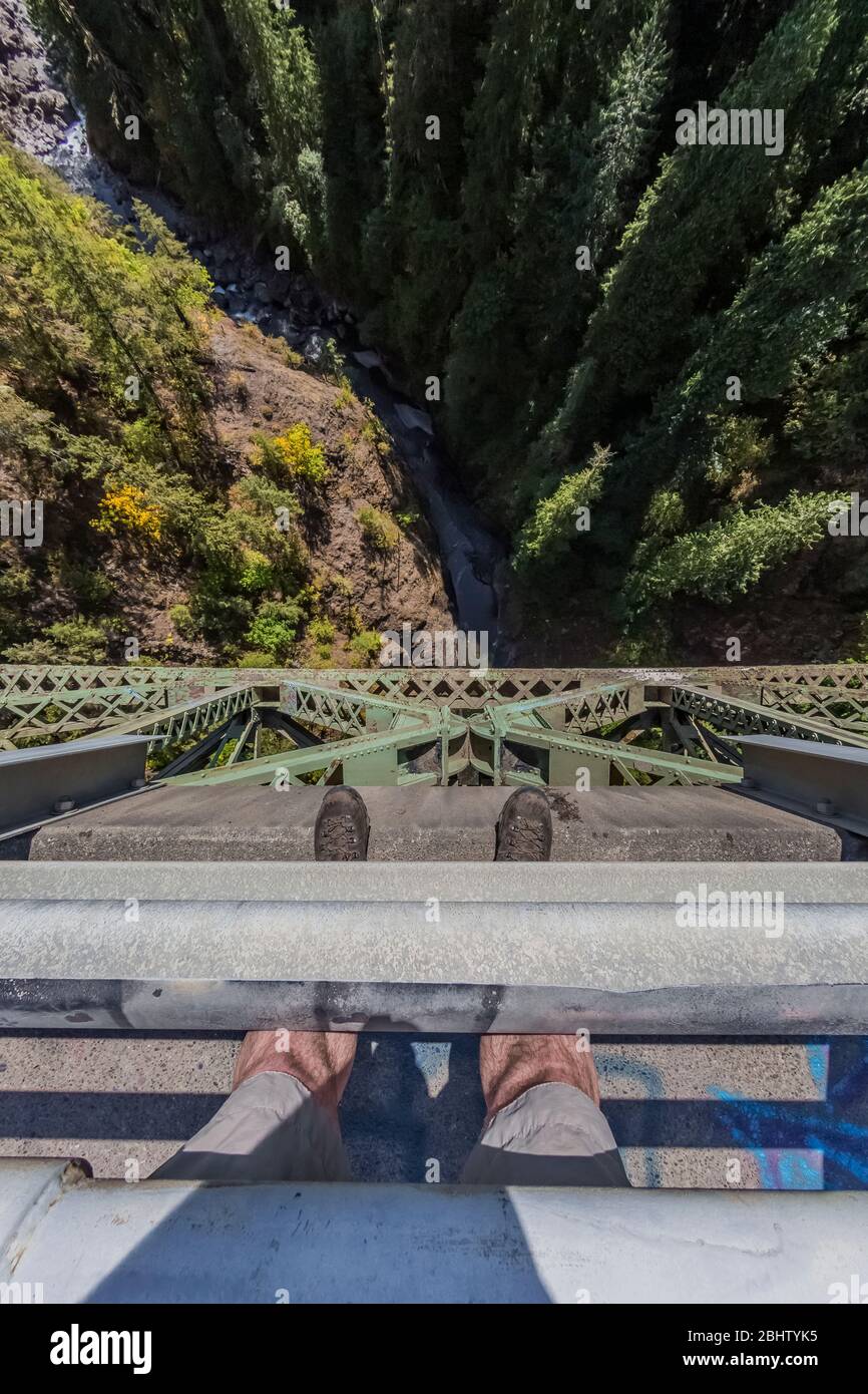 View down to South Fork Skokomish River from High Steel Bridge ...