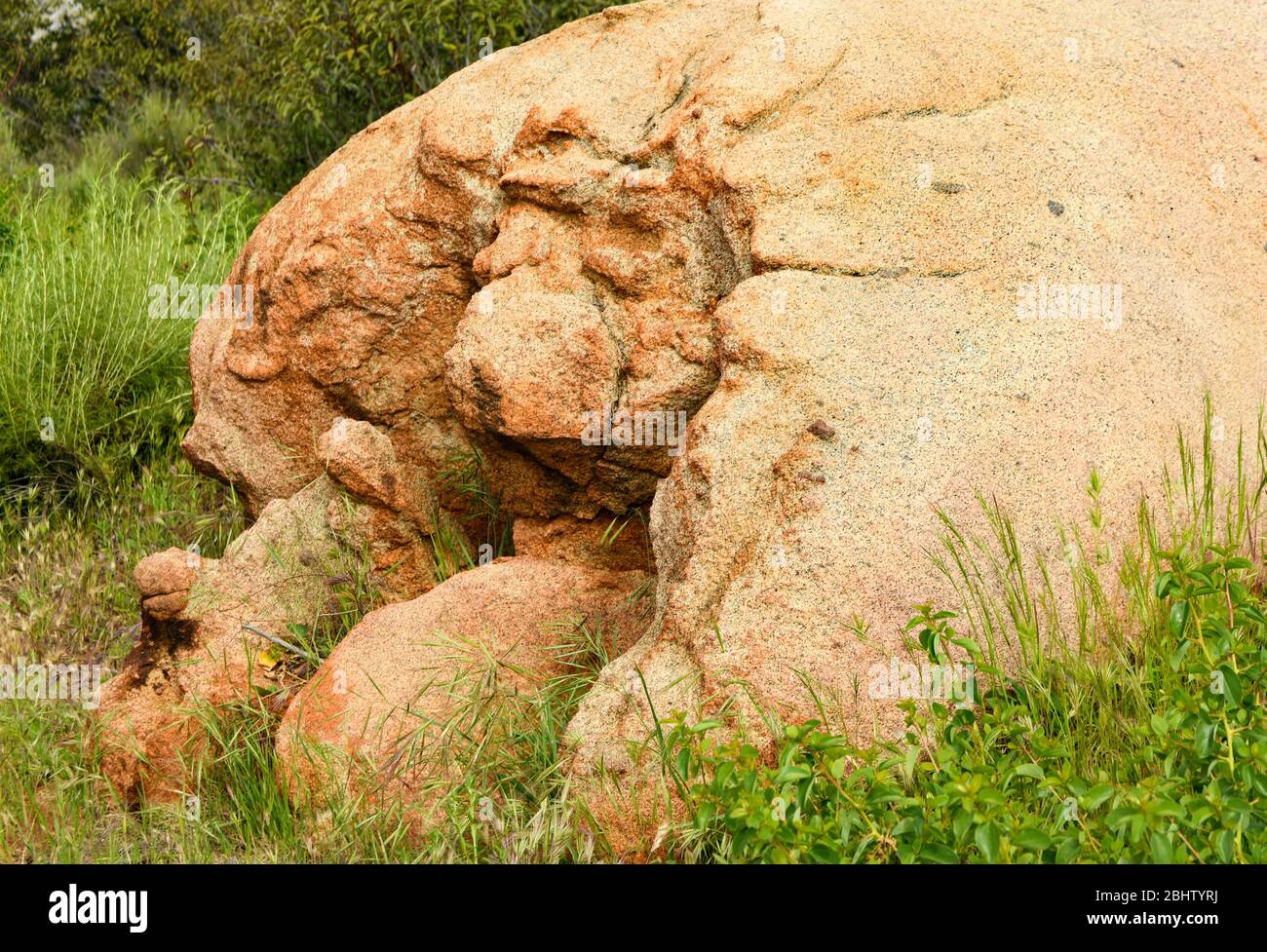 In this light this boulder looks like two adult bears and a rolling ...