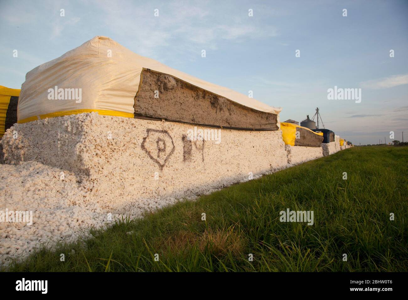 Agri business hi-res stock photography and images - Alamy