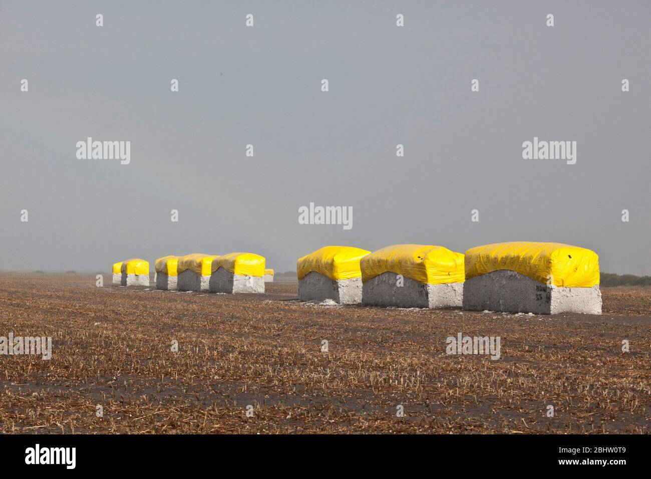 Bob cotton hi-res stock photography and images - Alamy