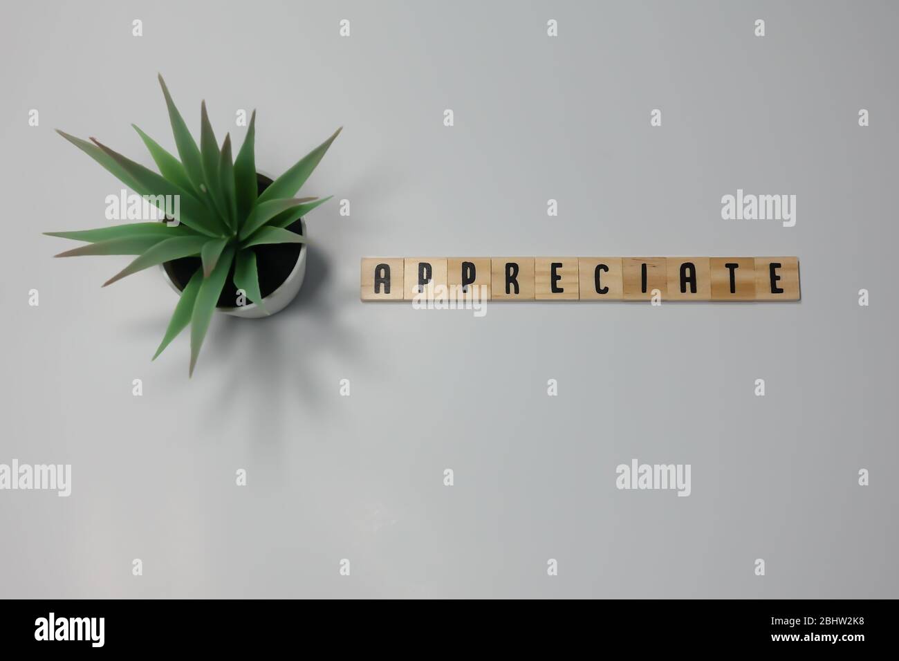 The word Appreciate written in wooden letter tiles on a white ...