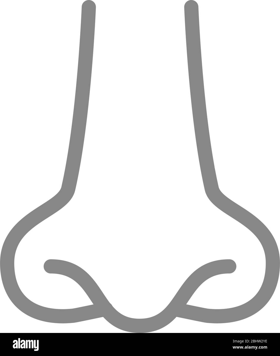 Olfactory system Black and White Stock Photos & Images - Alamy