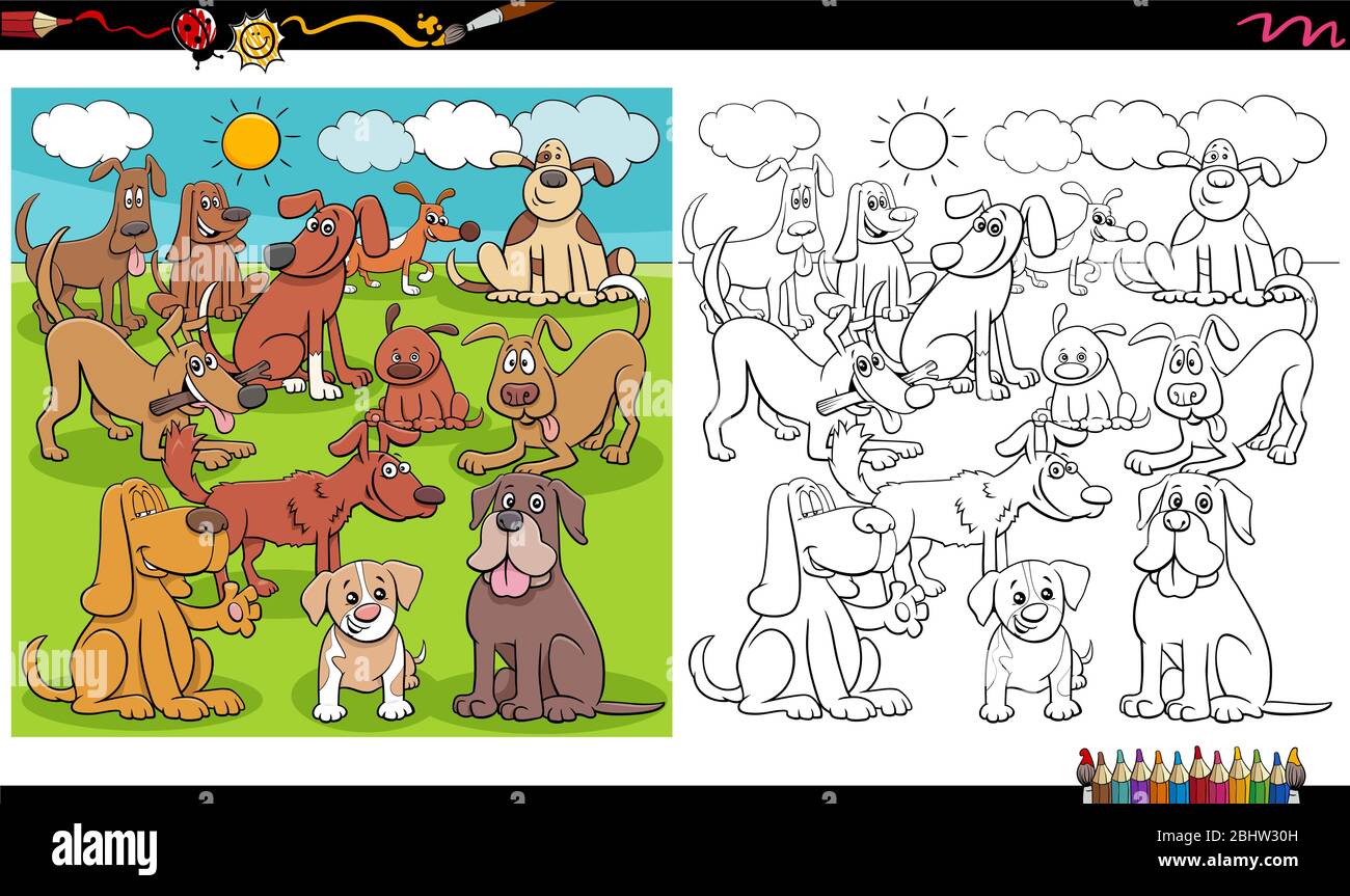 Cartoon Illustration of Playful Dogs and Puppies Animal Characters ...