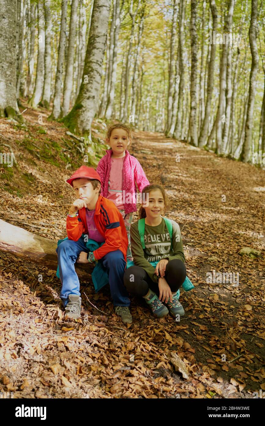 Children in the forest hi-res stock photography and images - Alamy