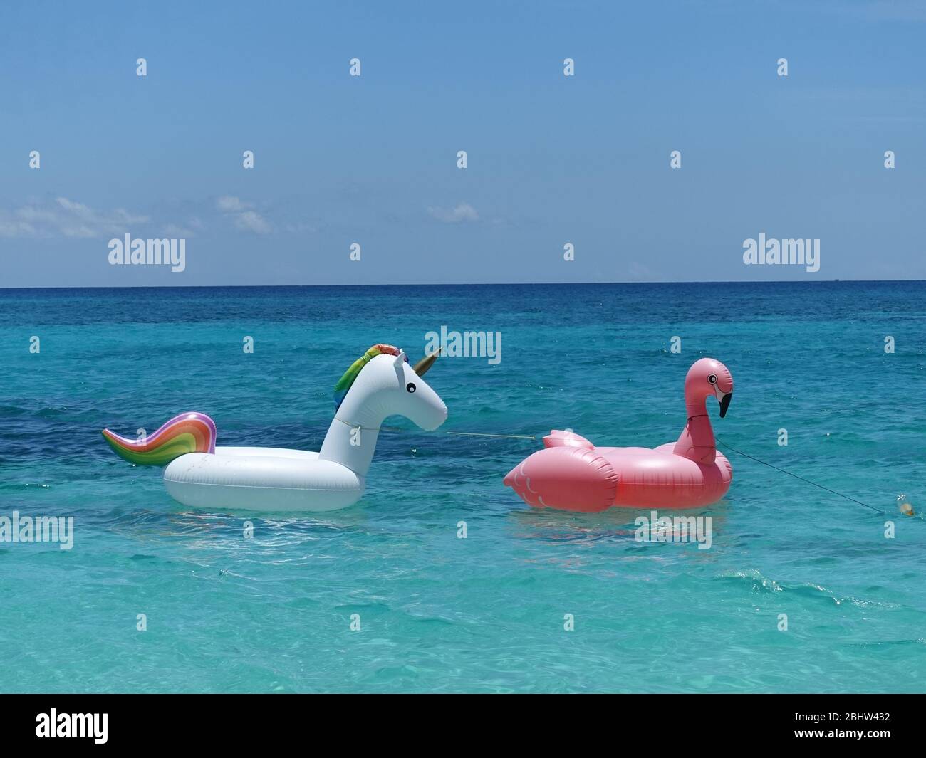 Pelican inflatable hi-res stock photography and images - Alamy