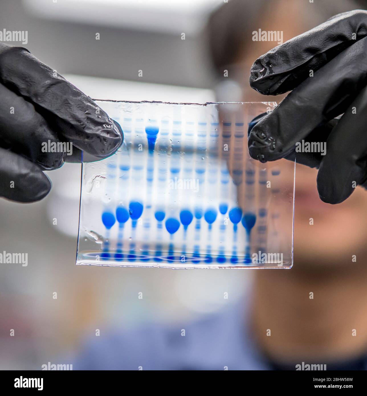 DNA samples for bioscience research Stock Photo - Alamy