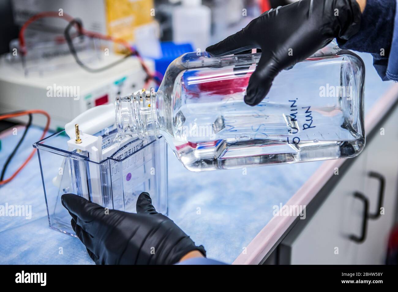 Bioscience research in a laboratory Stock Photo - Alamy