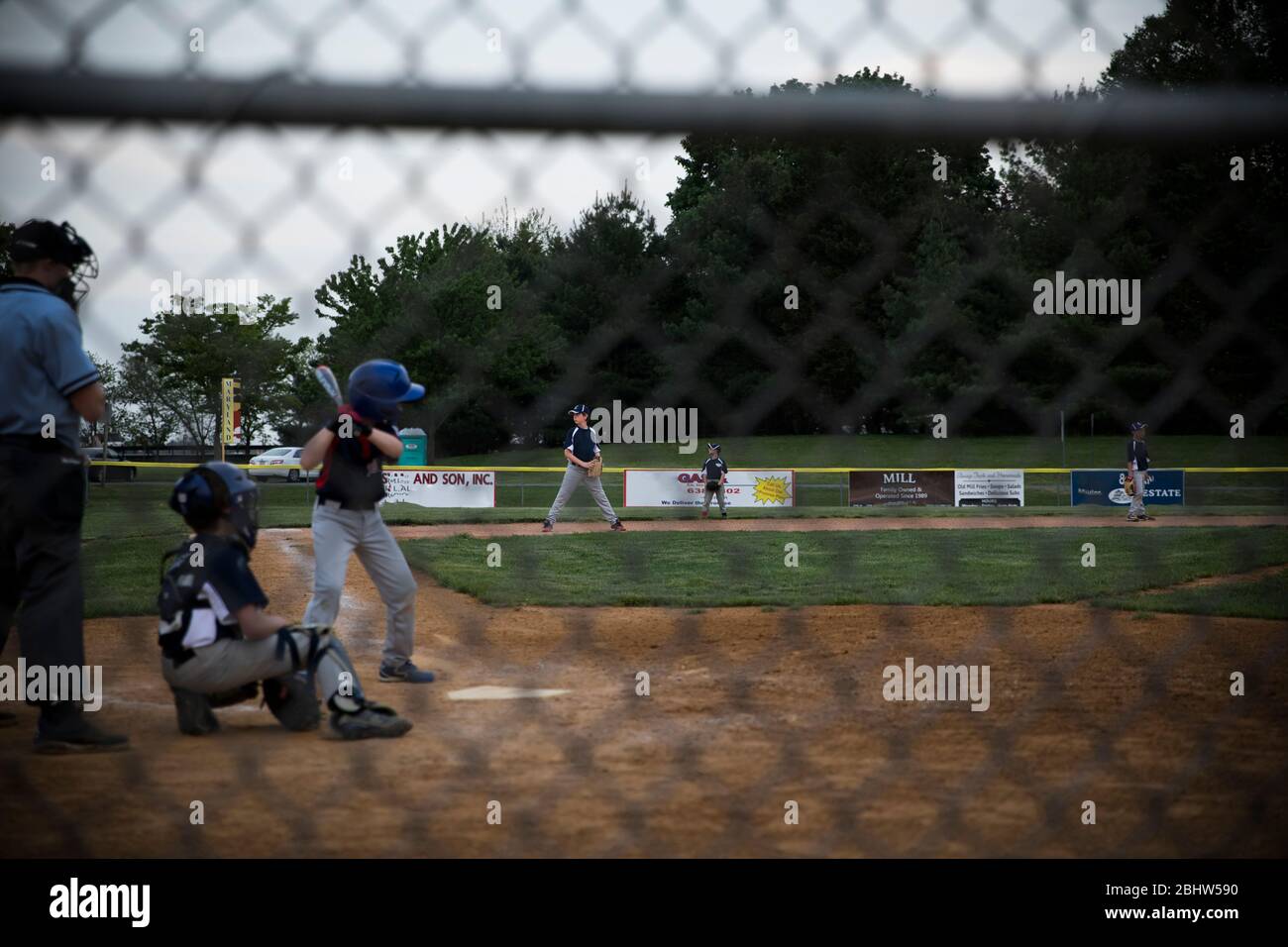 Wide View of Youth Baseball Team On Field During Game Stock Photo - Alamy