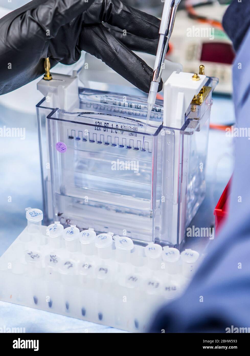 Pharmacological research hi-res stock photography and images - Alamy