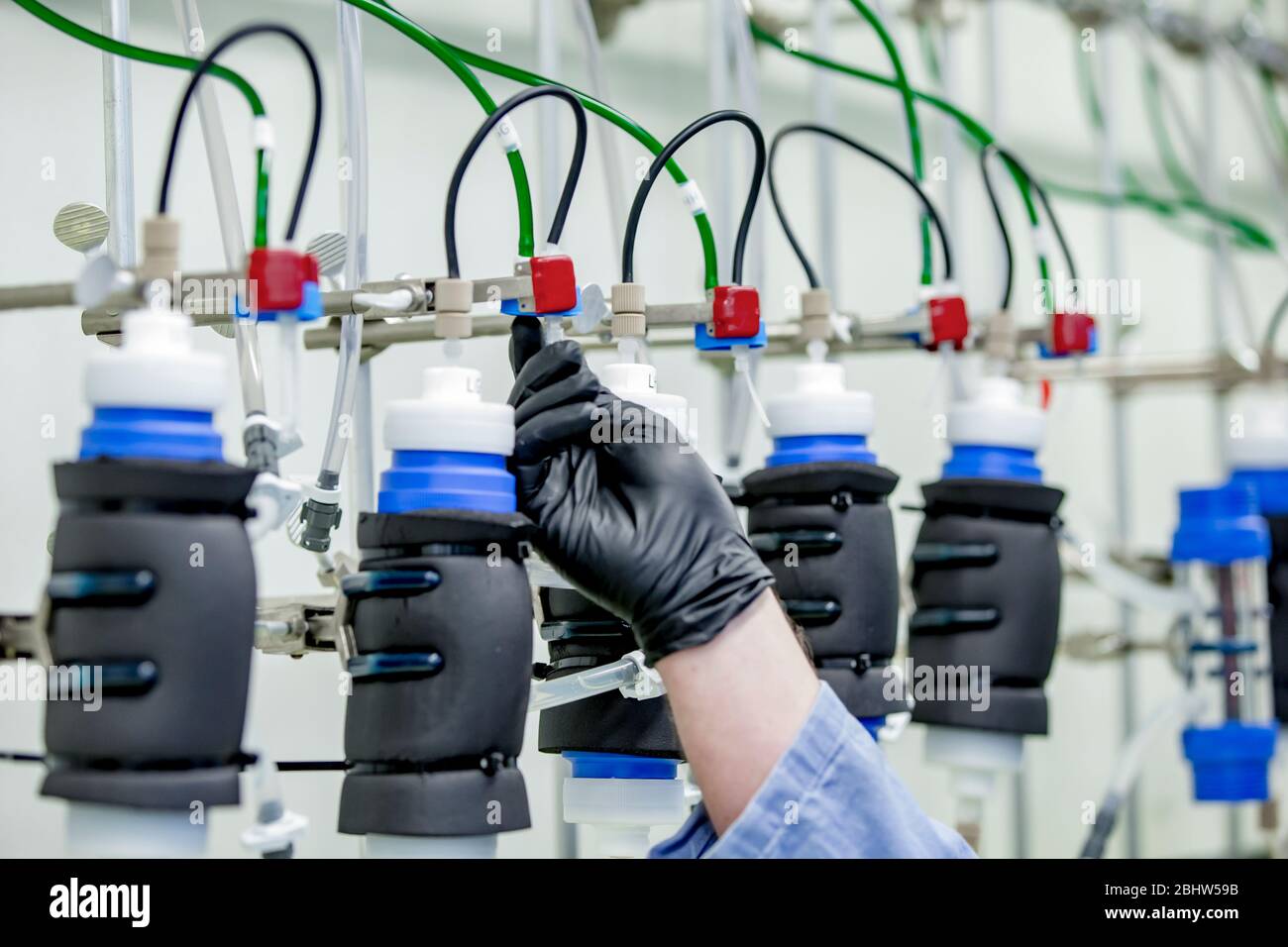 Bioscience research in a laboratory Stock Photo - Alamy