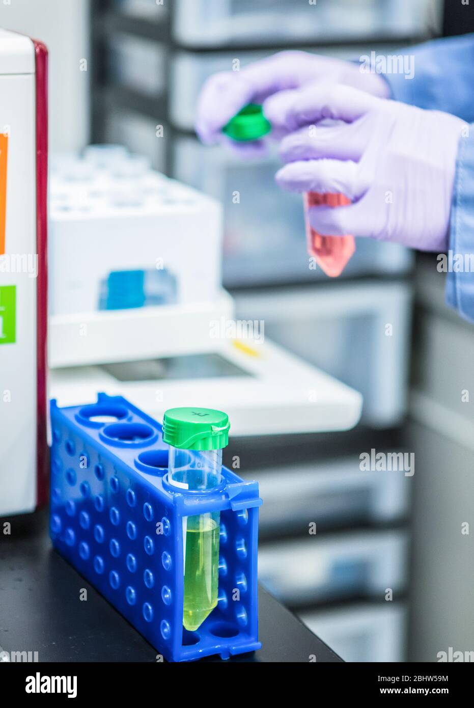Bioscience research in a laboratory Stock Photo - Alamy