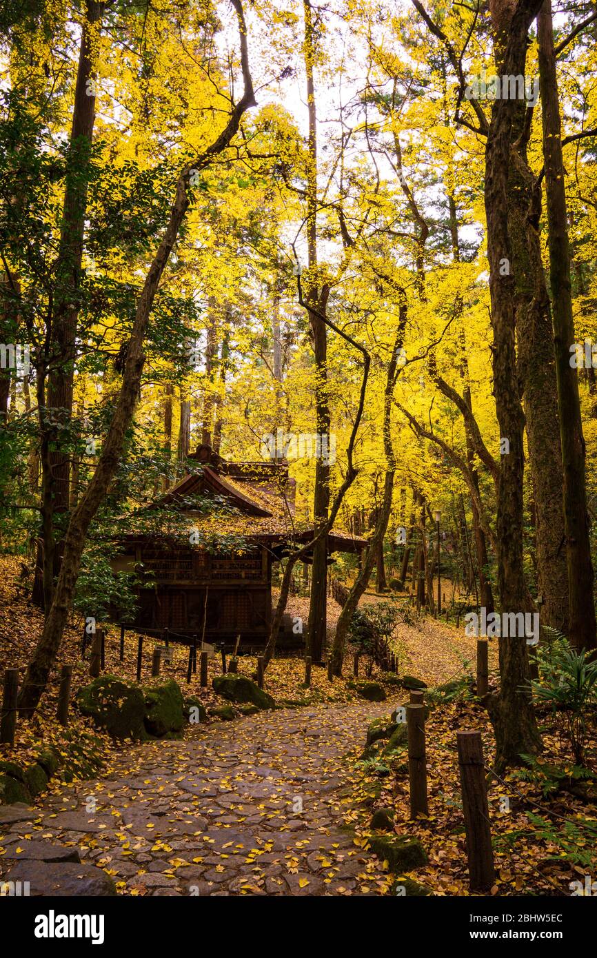 Naritasan Shinshoji Temple was attached with Naritasan Park in Narita ...