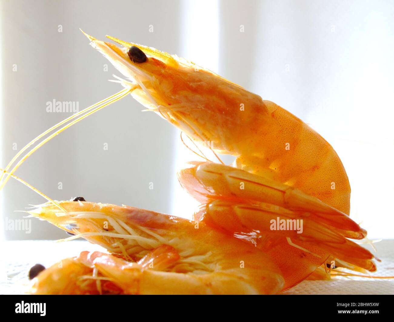 Eat prawns hi-res stock photography and images - Alamy