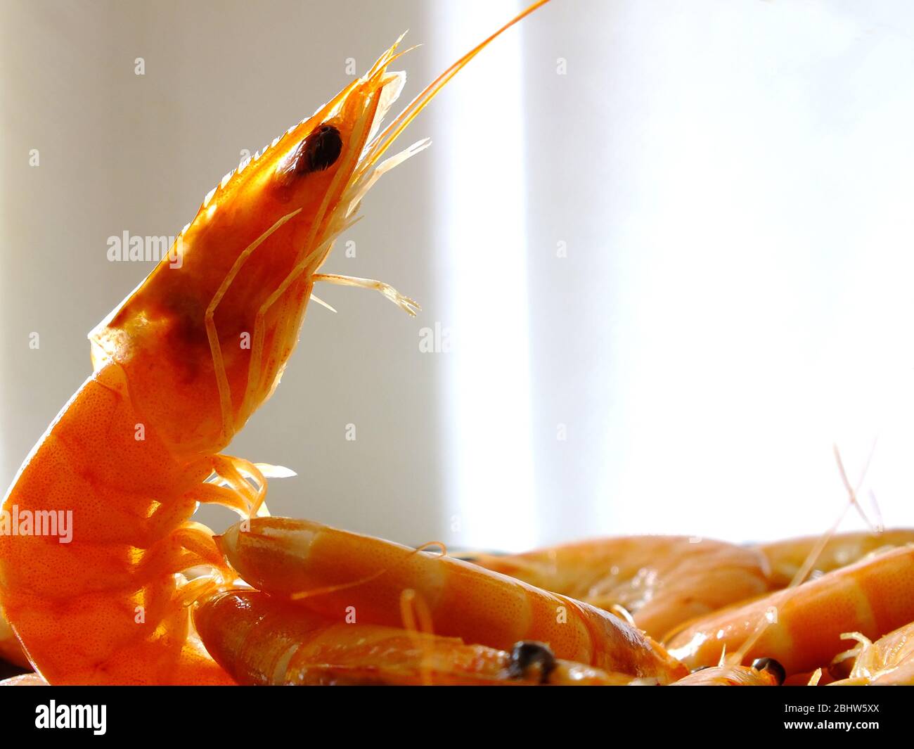 Farmed prawn hi-res stock photography and images - Alamy