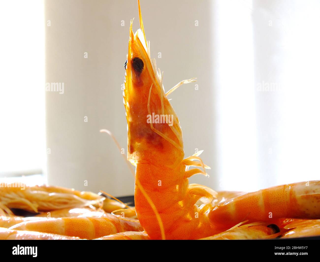 Eat prawns hi-res stock photography and images - Alamy