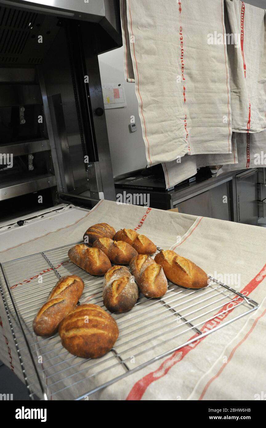 Industry reports hi-res stock photography and images - Alamy