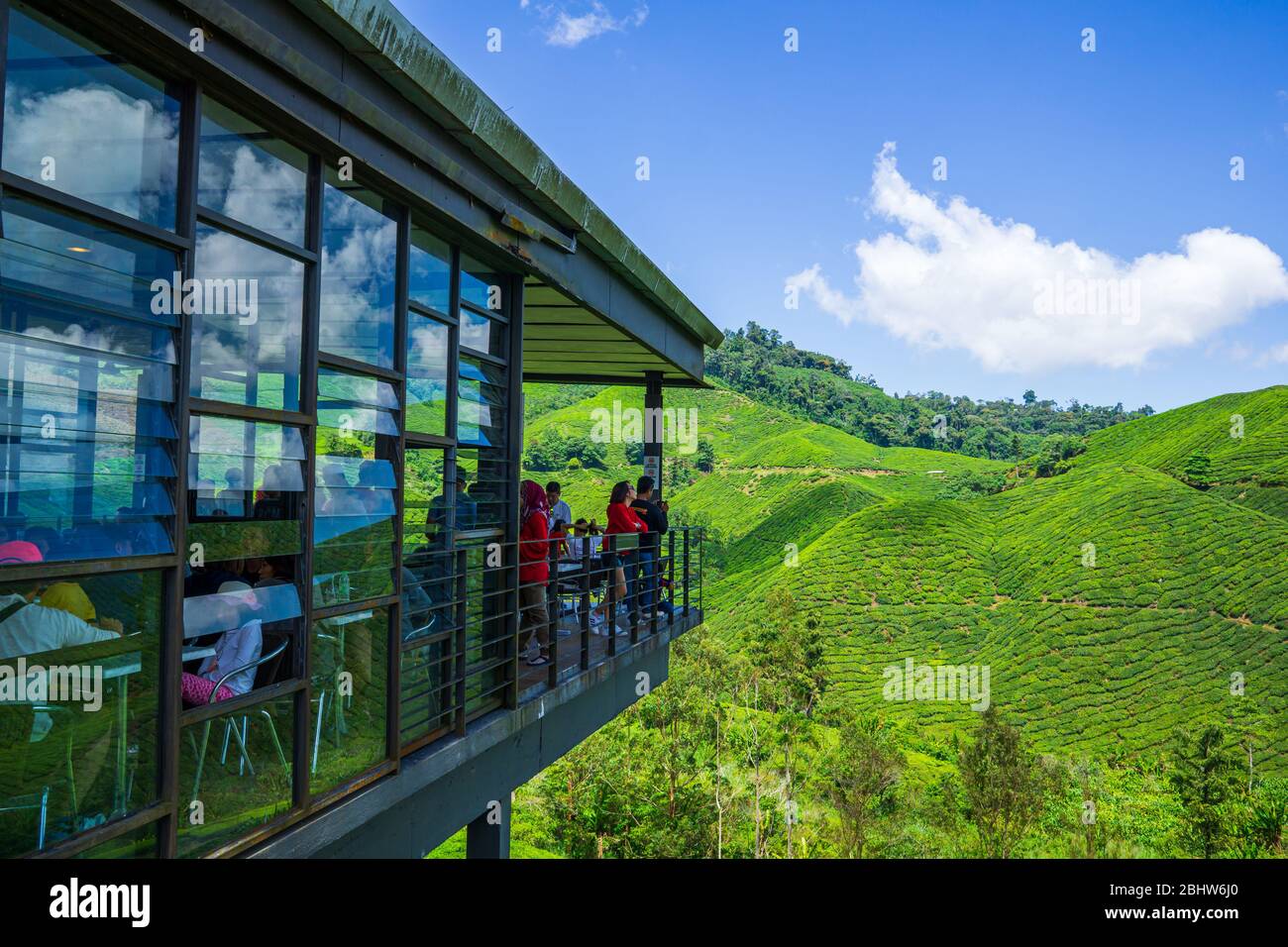 The Boh Tea Company was founded in 1929 and is one of the famous tea ...