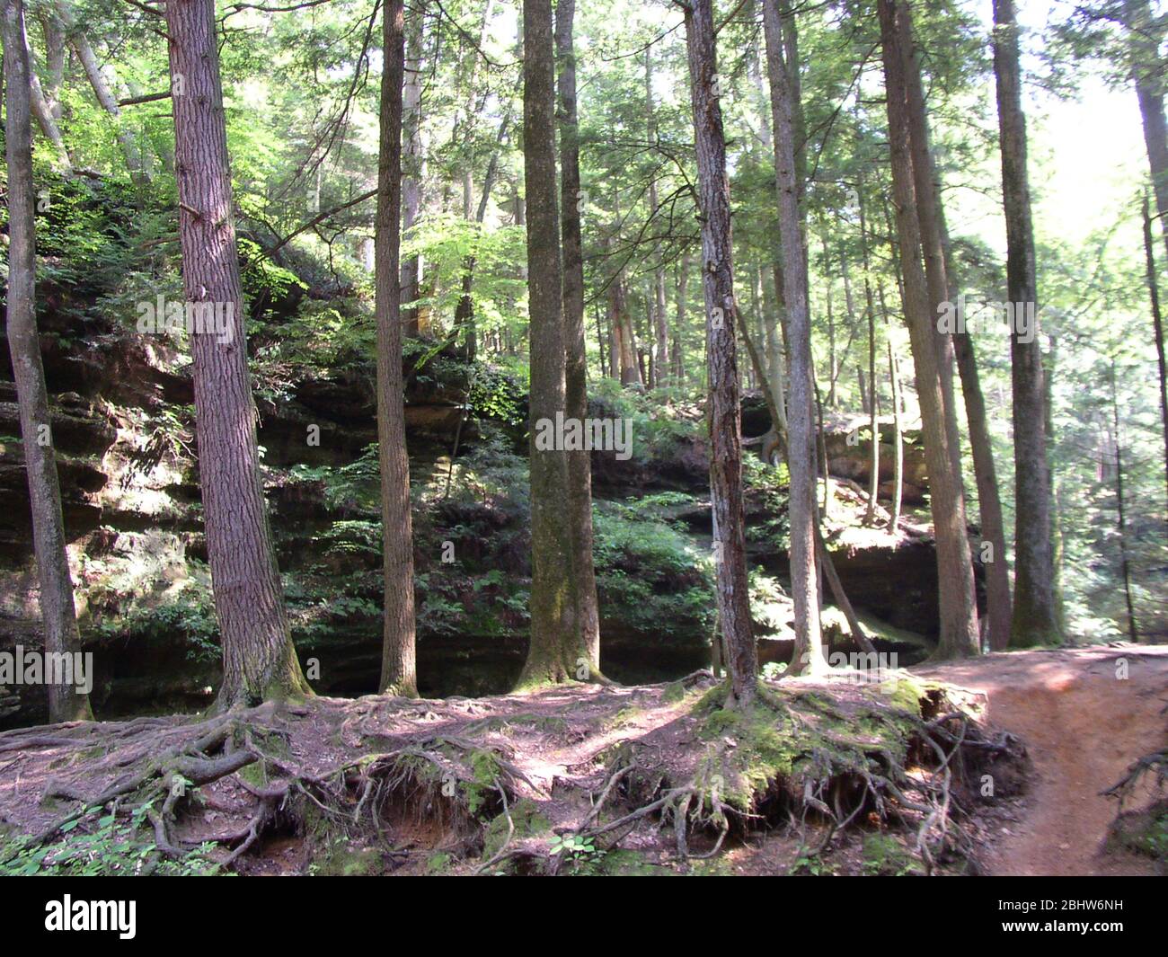 Hocking Hills State Park, Ohio Stock Photo - Alamy