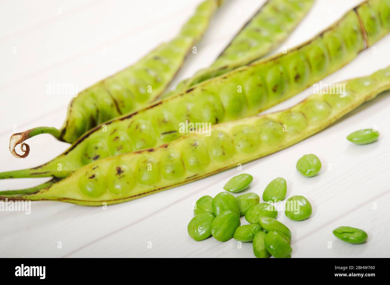 Parkia speciosa ( petai, bitter bean, twisted cluster bean, stinker or stink bean) on white wood ...