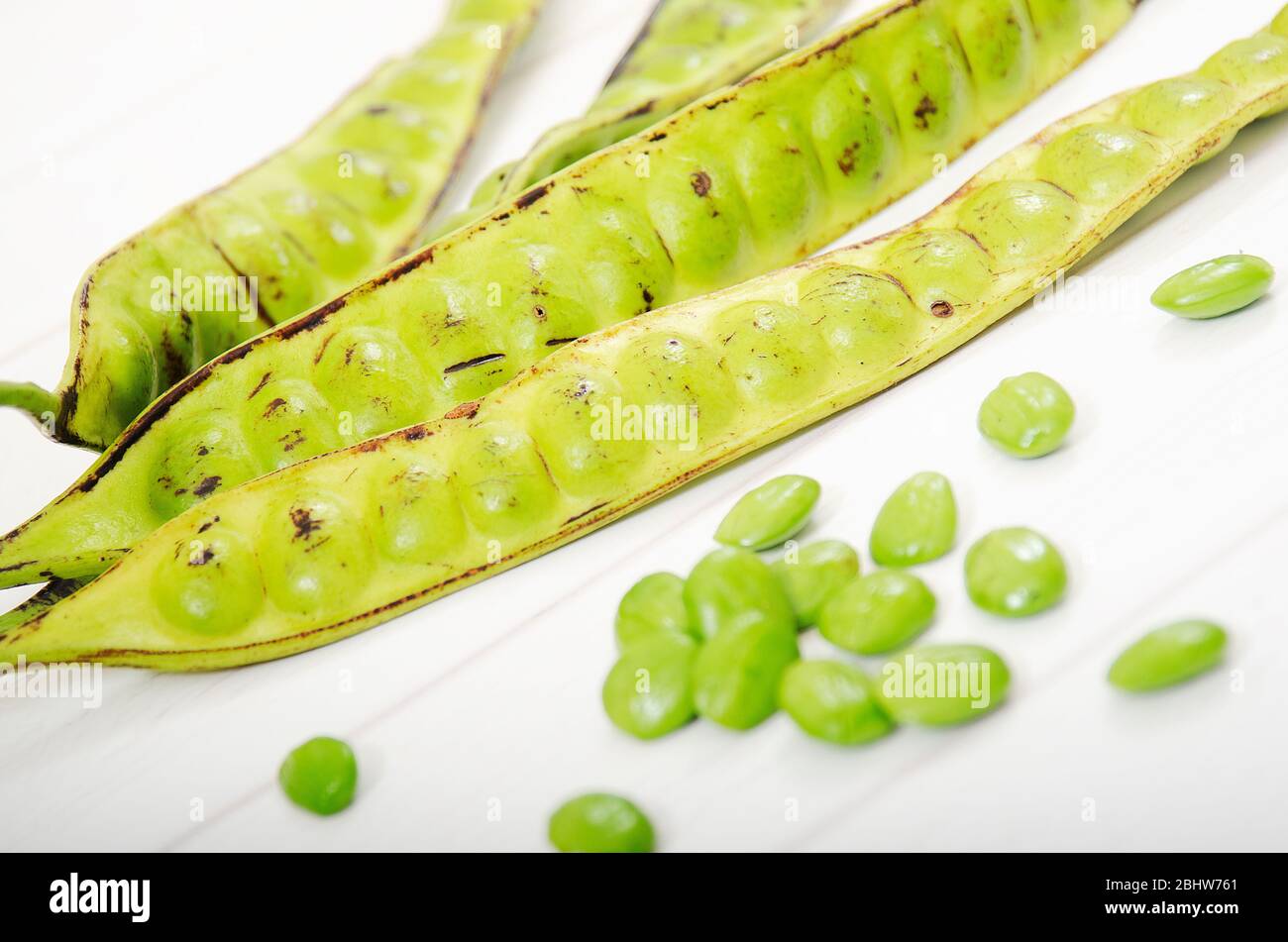 Parkia speciosa ( petai, bitter bean, twisted cluster bean, stinker or ...