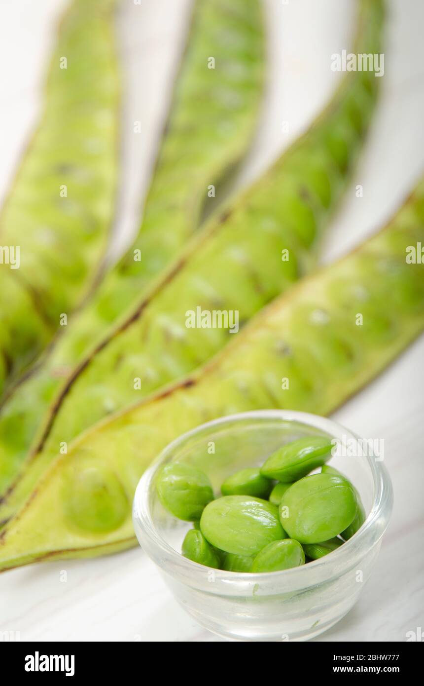 Parkia speciosa ( petai, bitter bean, twisted cluster bean, stinker or ...