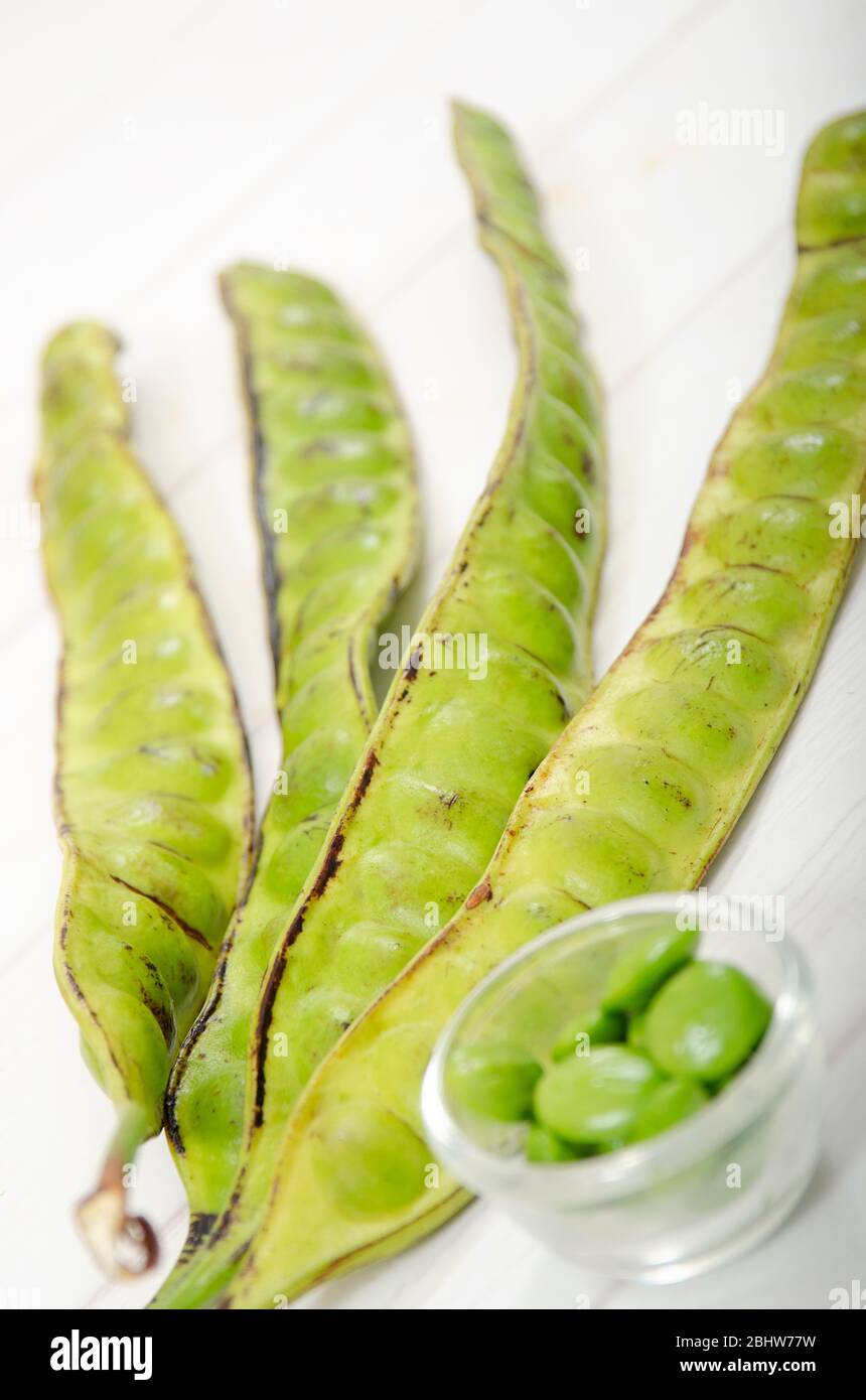 Parkia speciosa ( petai, bitter bean, twisted cluster bean, stinker or ...