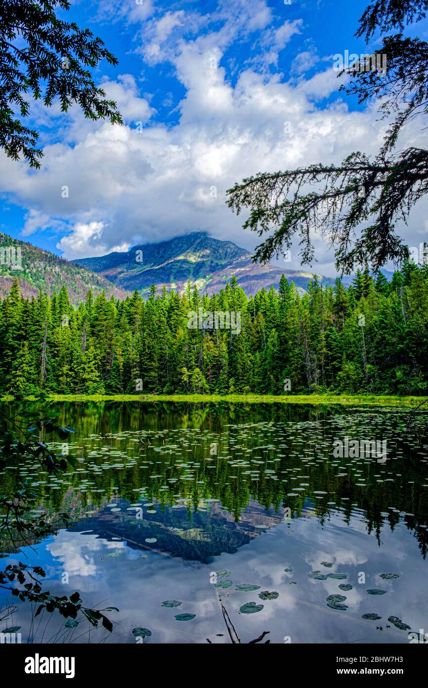 Johns lake loop hi-res stock photography and images - Alamy