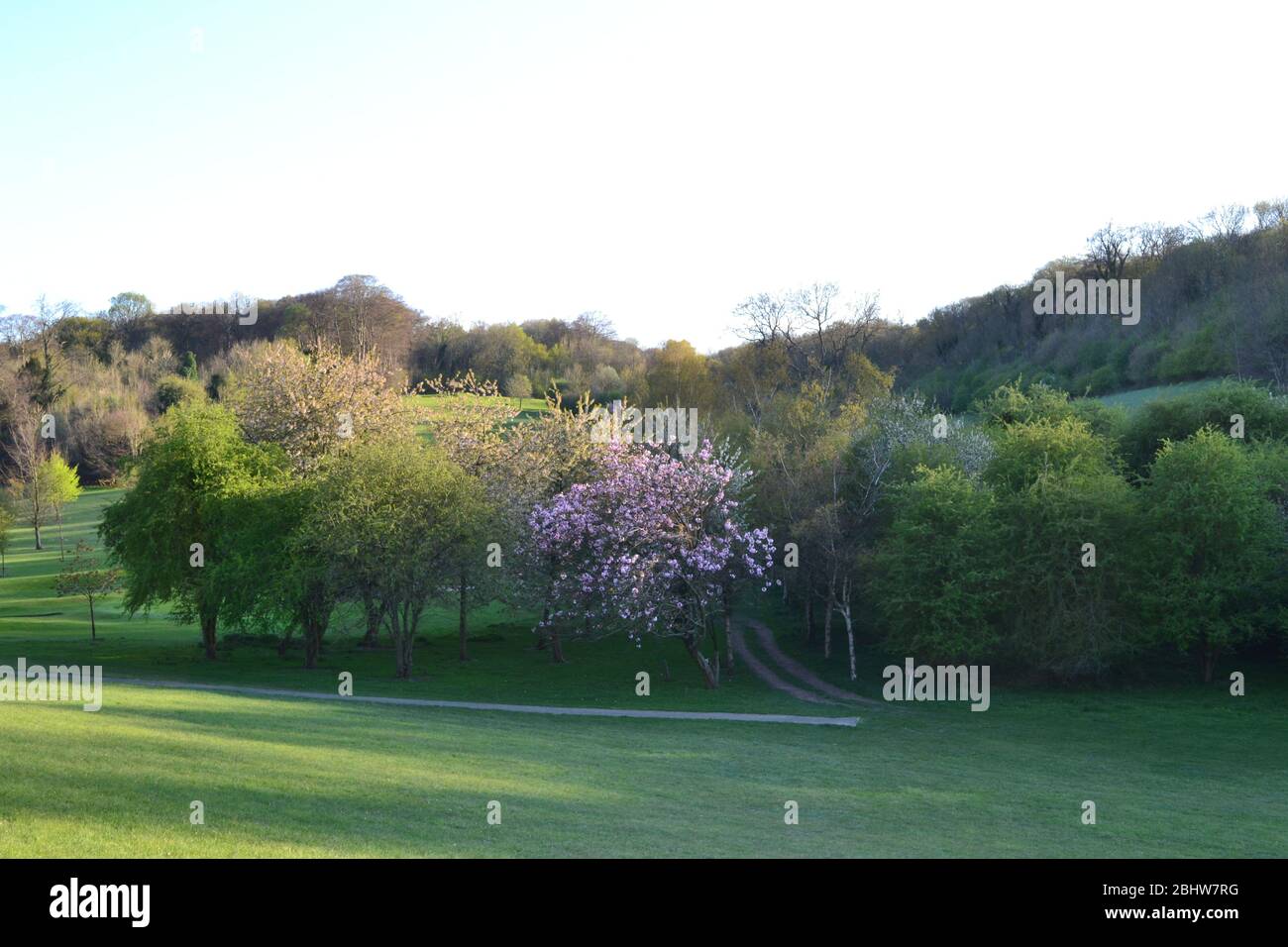 Rewilded land hi-res stock photography and images - Alamy