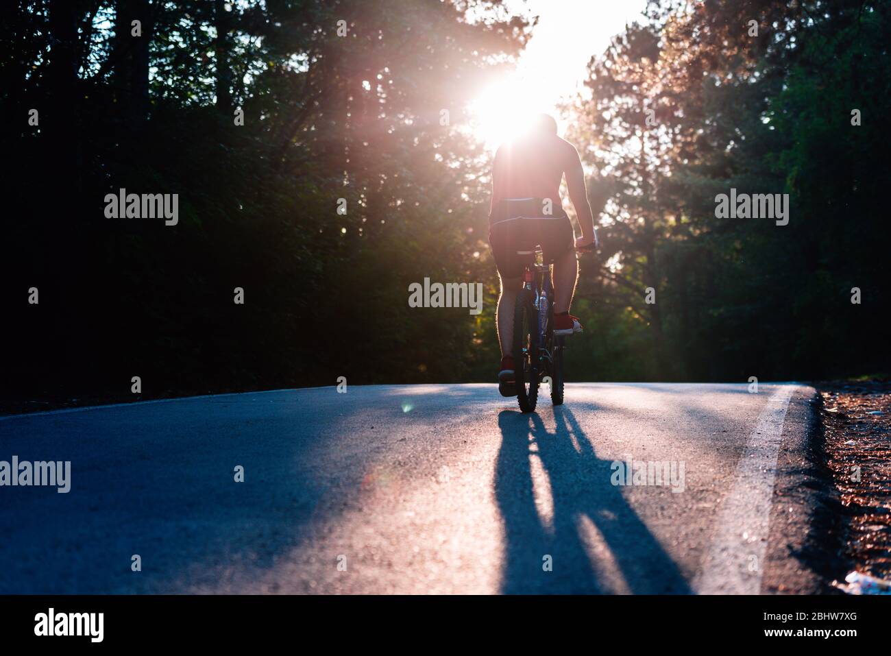 Male cyclist riding his bike on sunset on a road through deep woods ...