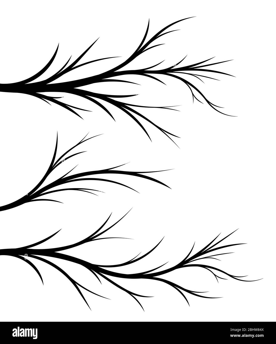 Set of 3 black vector floral branches Stock Vector Image & Art - Alamy