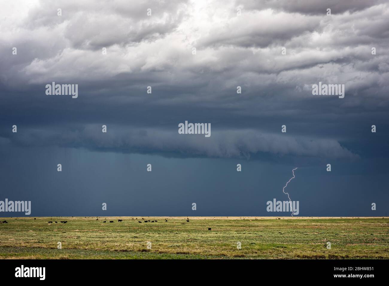 Summer landscape with dark storm clouds and lightning strike from a ...
