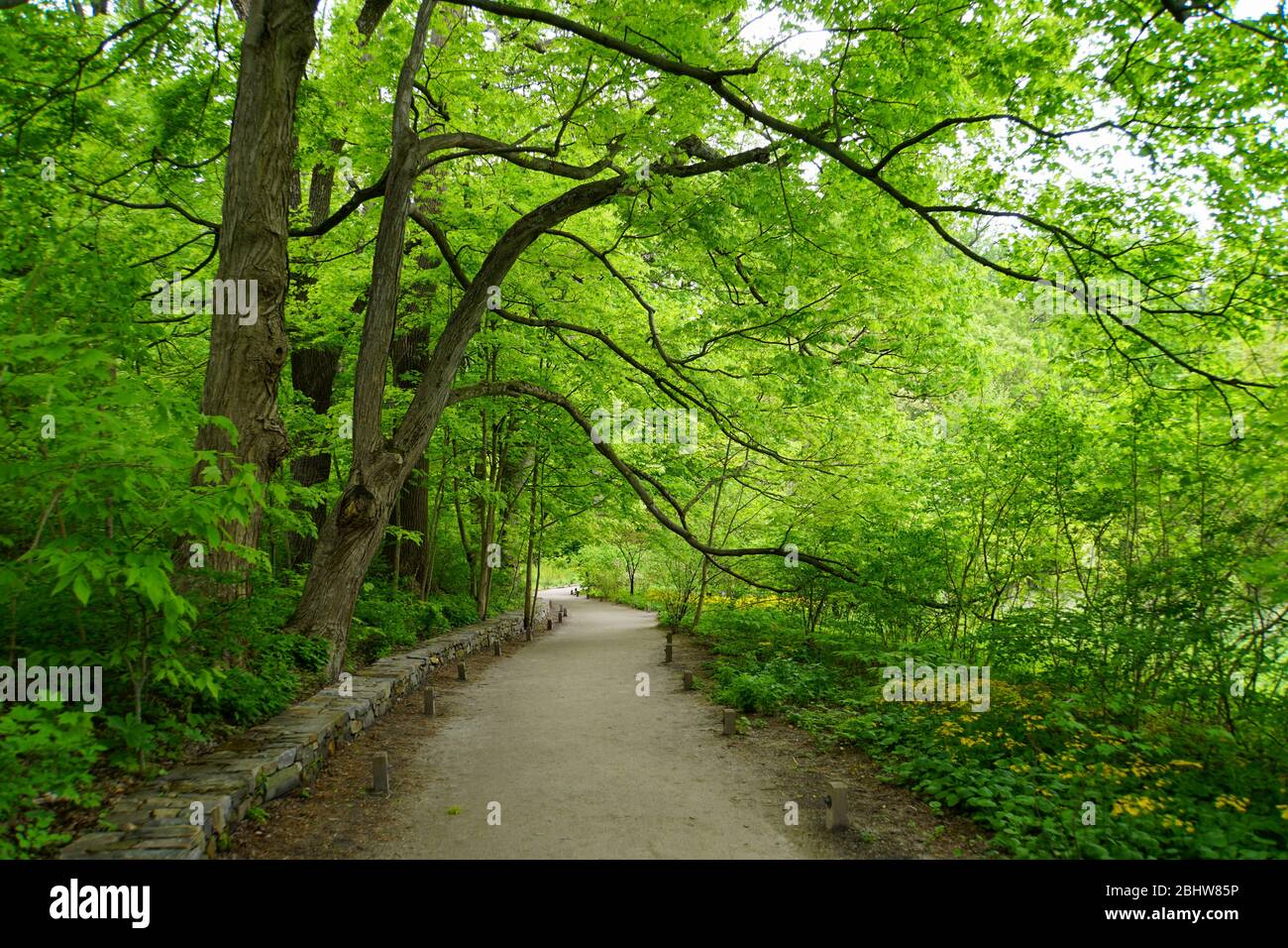 Beautiful walking path hi-res stock photography and images - Alamy