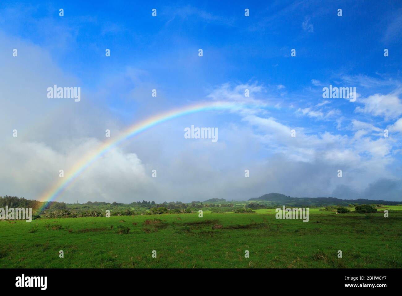 Hawaii rainbow hi-res stock photography and images - Alamy