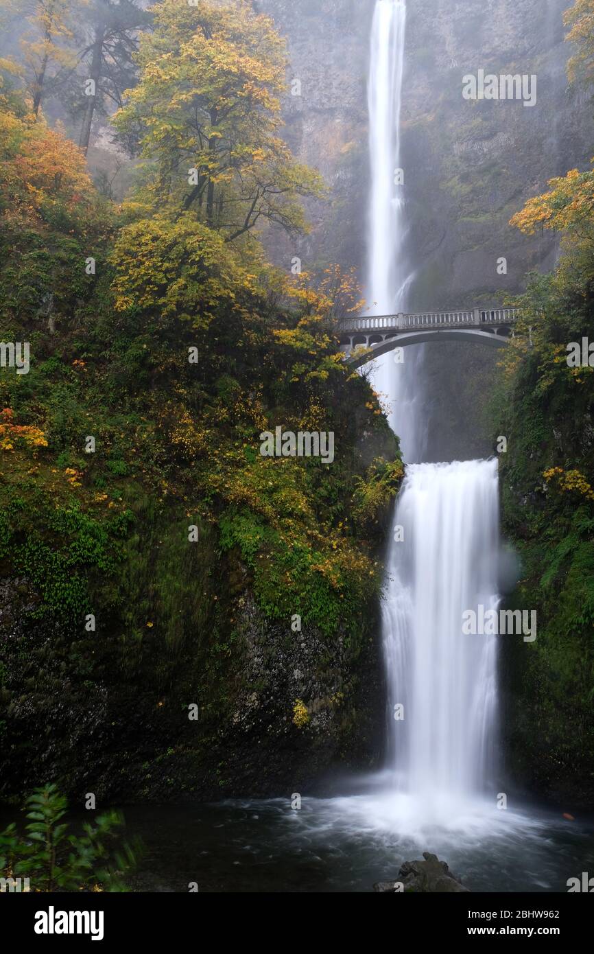 Multnomah Falls and famous bridge over the flowing water in the ...