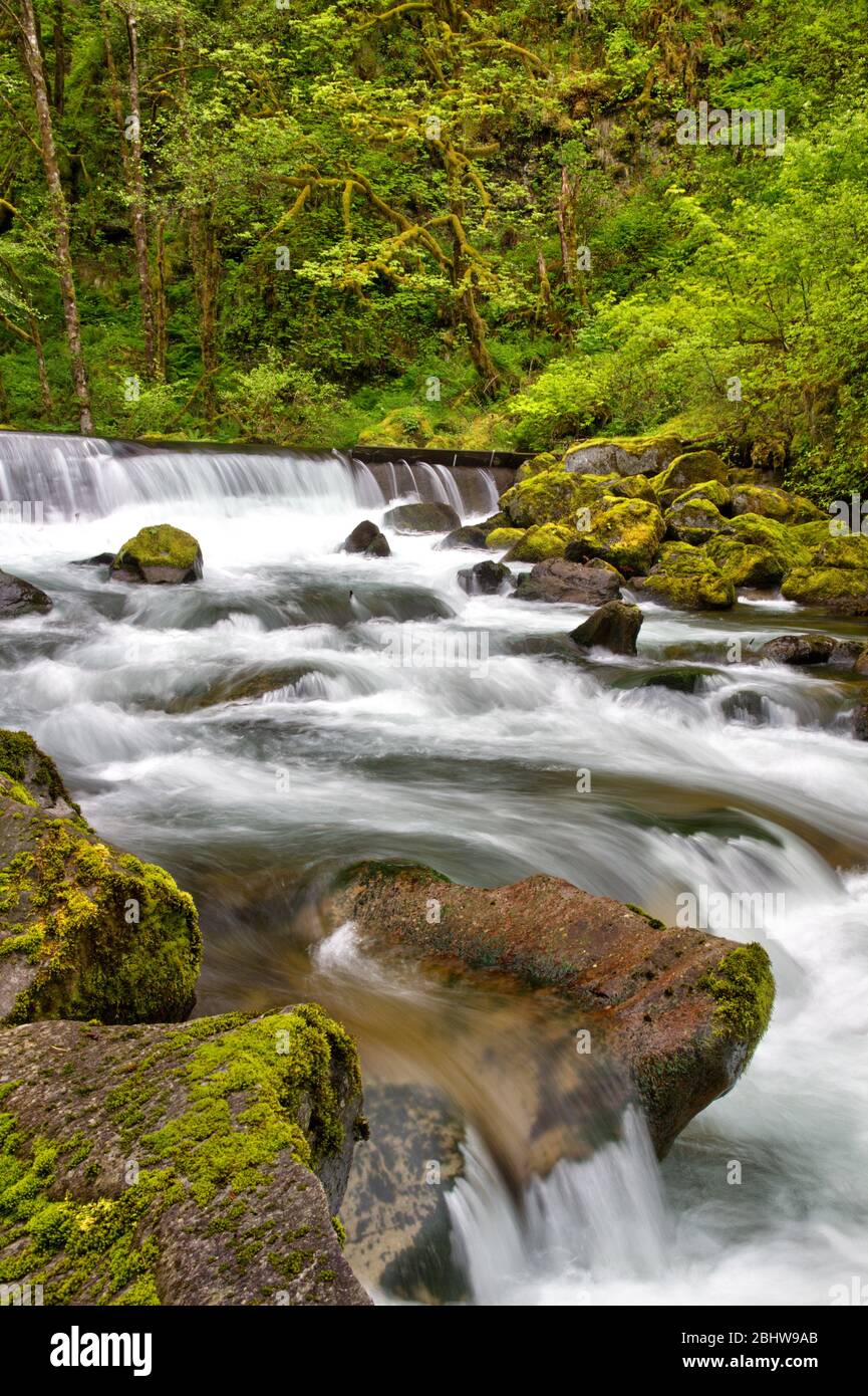 Lush green spring mountains hi-res stock photography and images - Alamy