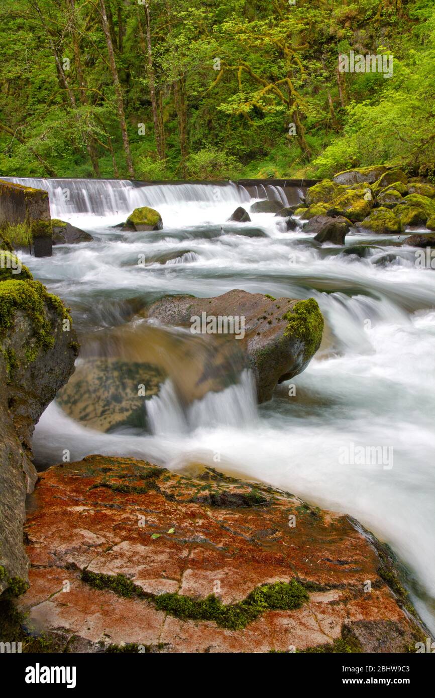 Lush green spring mountains hi-res stock photography and images - Alamy